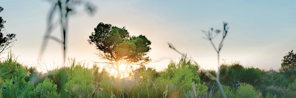 Maj Invest Danish Private Equity ESG Partnership Model - Maj Invest Maj Invest Danish Private Equity ESG Partnership Model - Maj Invest